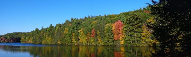 10 Incredible Fall Foliage Driving Paths in CT - myAutoloan