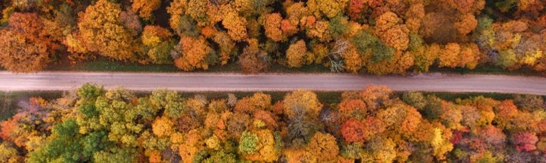 12 Reasons Drive Mohawk Trail in MA This Fall - myAutoloan
